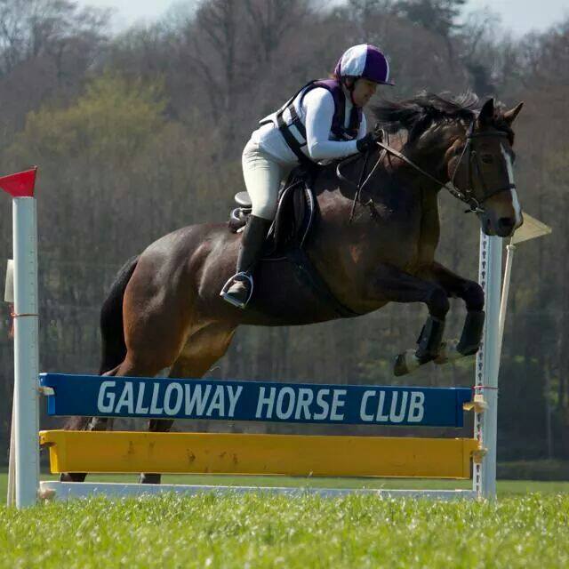 Galloway Horse Club - The Horse Life