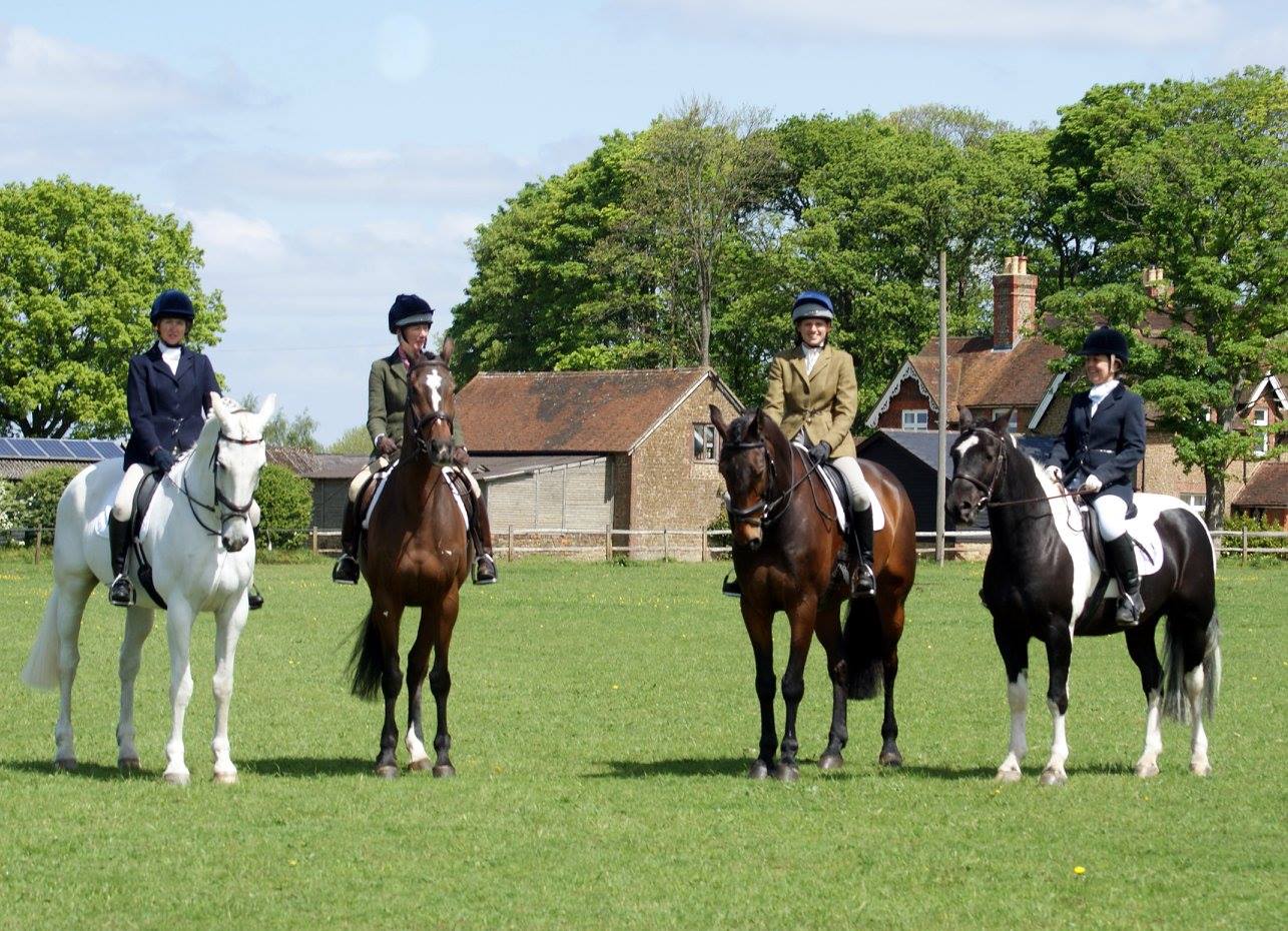Rudgwick and District Riding Club - The Horse Life