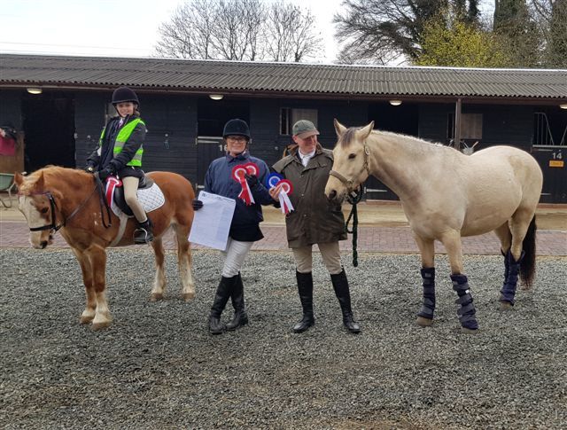 Chislehurst Riding Club - The Horse Life