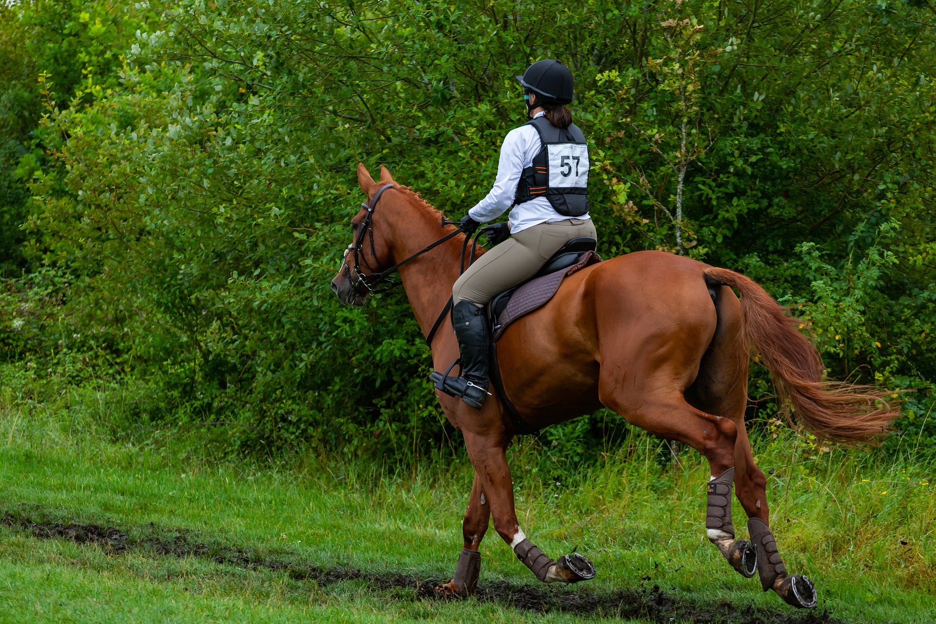 Everything You Need To Know About Horse Riding Schools Before You ...