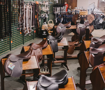 Horse Tack | Tack Shops – The Horse Life