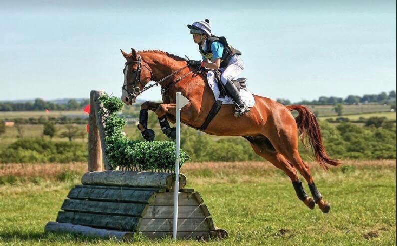 Ian Stark Equestrian Centre - The Horse Life