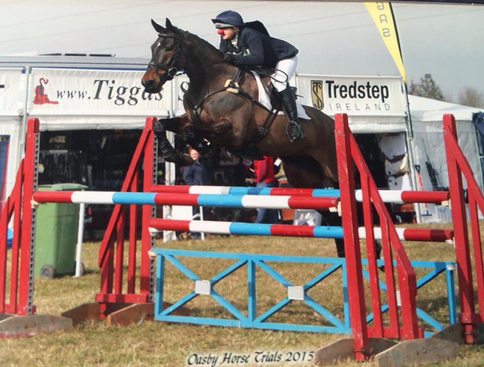 Bay Riding Club - The Horse Life