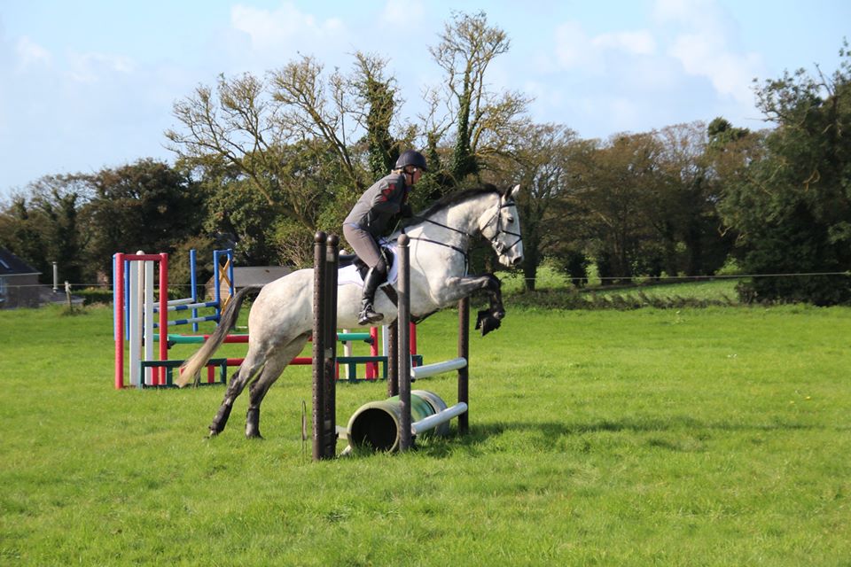 Jersey Riding Club - The Horse Life