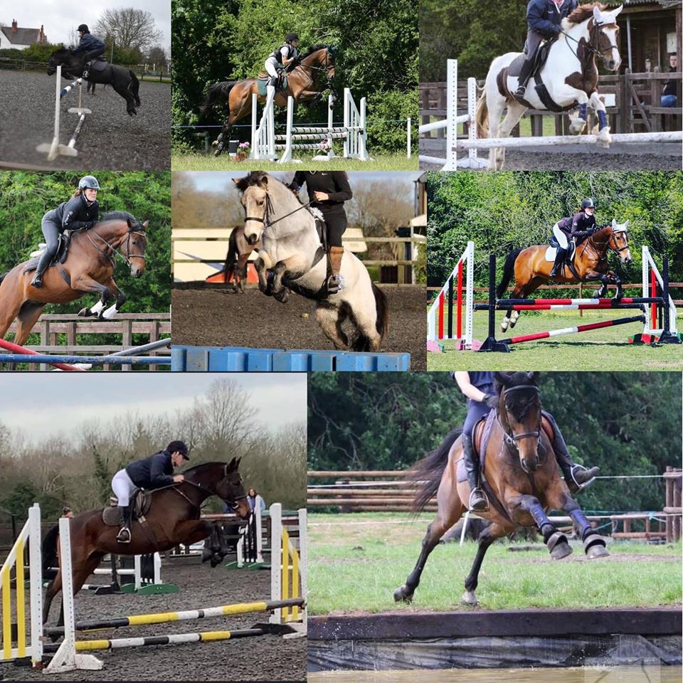 Hall Place Equestrian Centre – The Horse Life