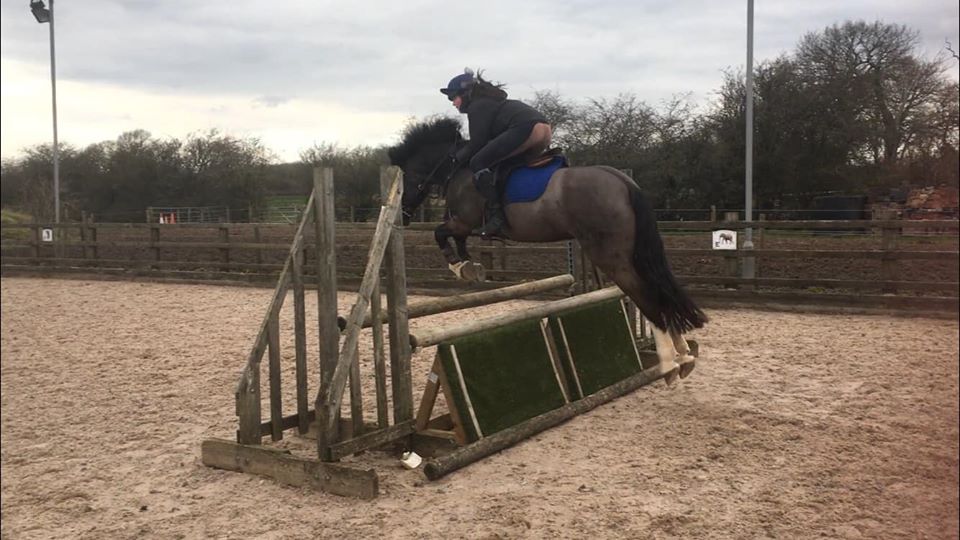 Holme Farm Equestrian Riding Club Centre - The Horse Life