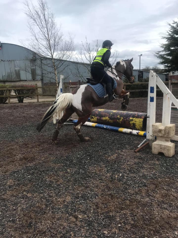 Moy Riding Club - The Horse Life