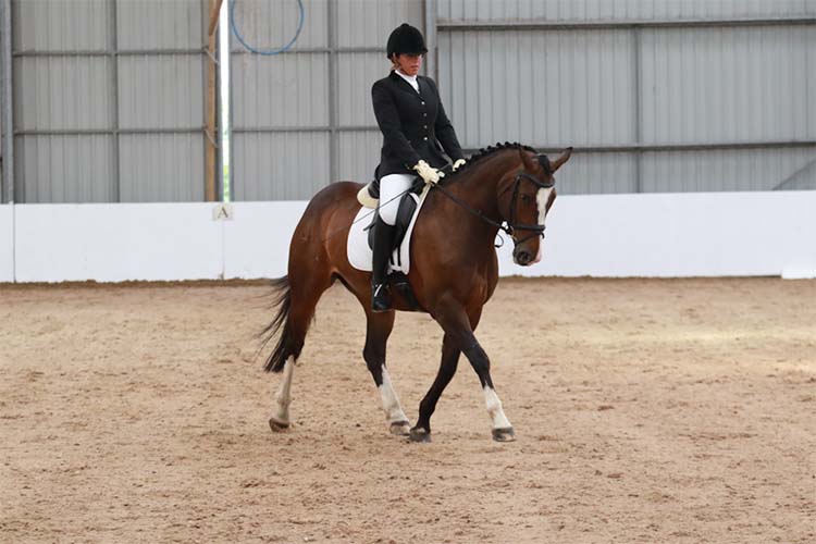 Quob Stables Riding Club Centre - The Horse Life