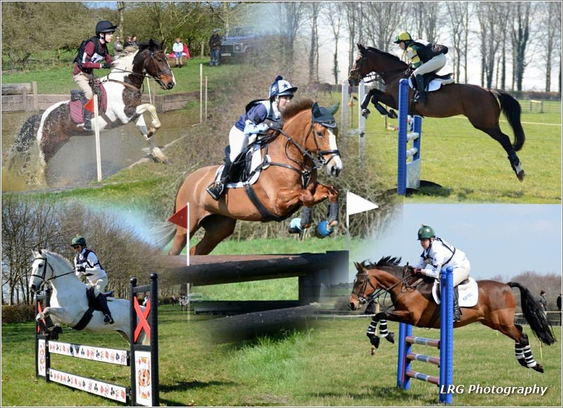 New Forest Riding Club – The Horse Life