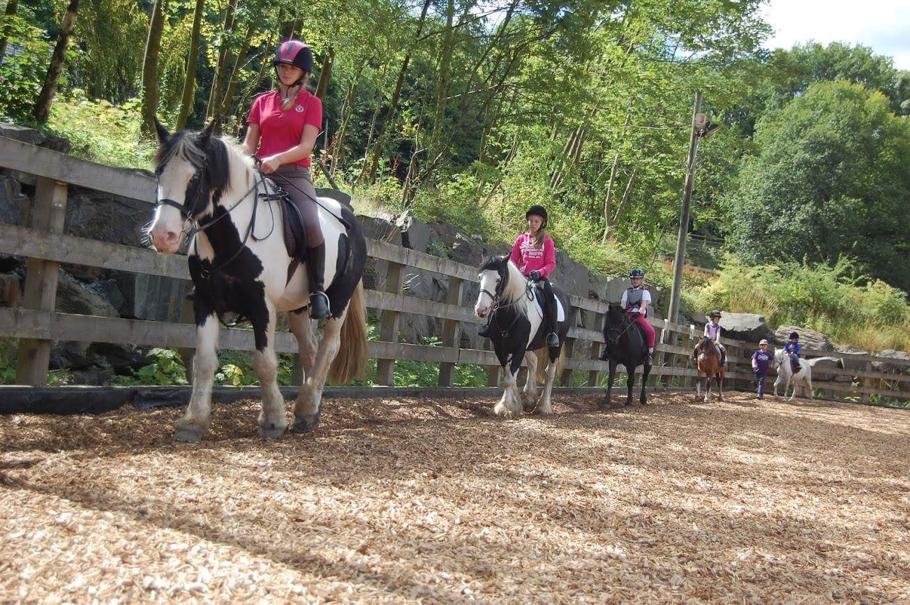 Witherslack Hall Equestrian Centre – The Horse Life