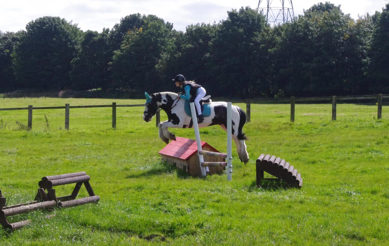 Ryders Farm Equestrian Centre – The Horse Life
