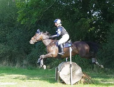 Shillingstone and District Riding Club – The Horse Life