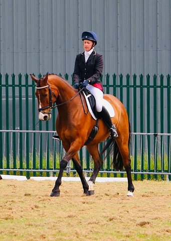 GOWER RIDING CLUB – The Horse Life